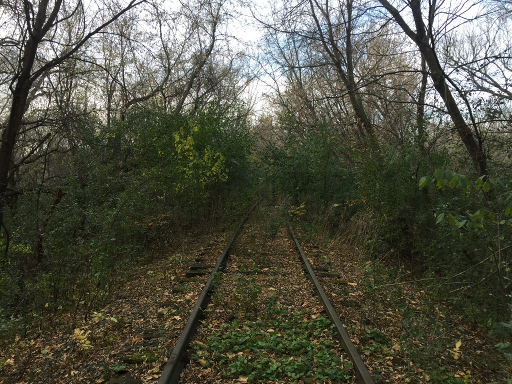 A Vision for the Dan Patch Corridor - Streets.mn