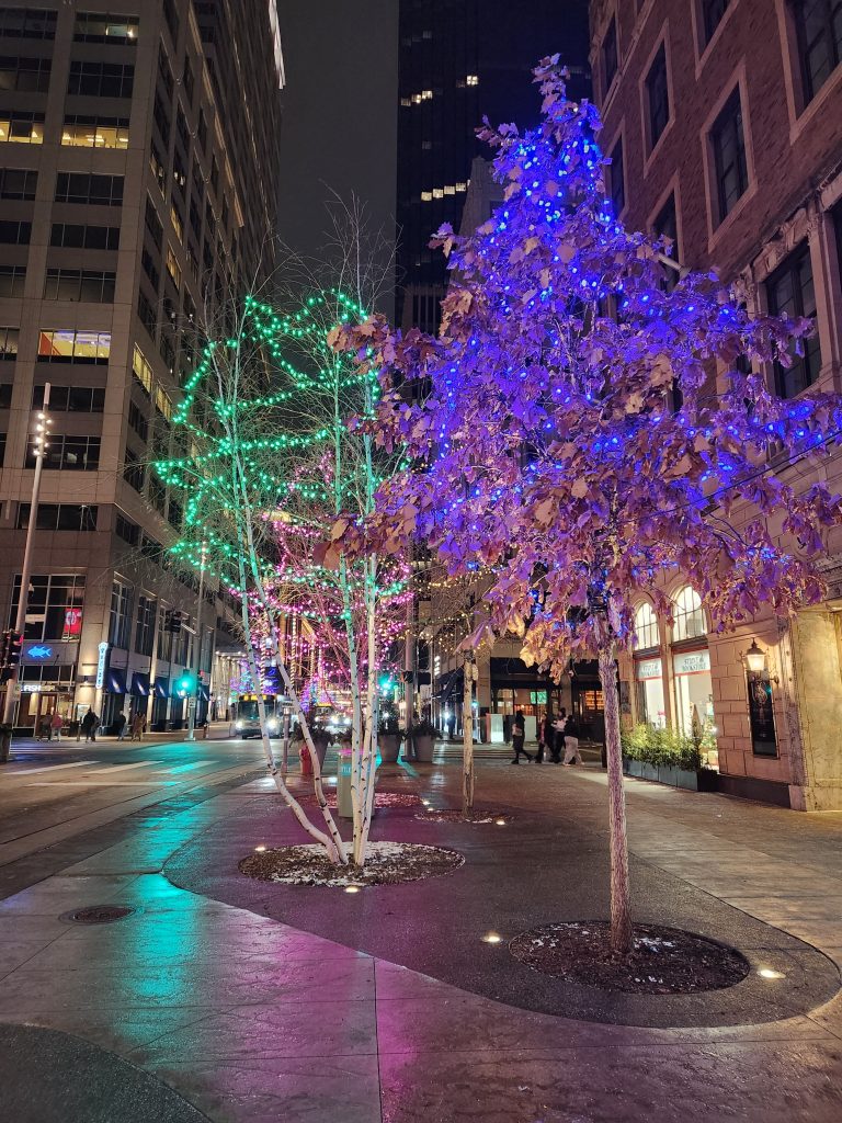 Nicollet Mall, Vibrancy and Public Transit - Streets.mn